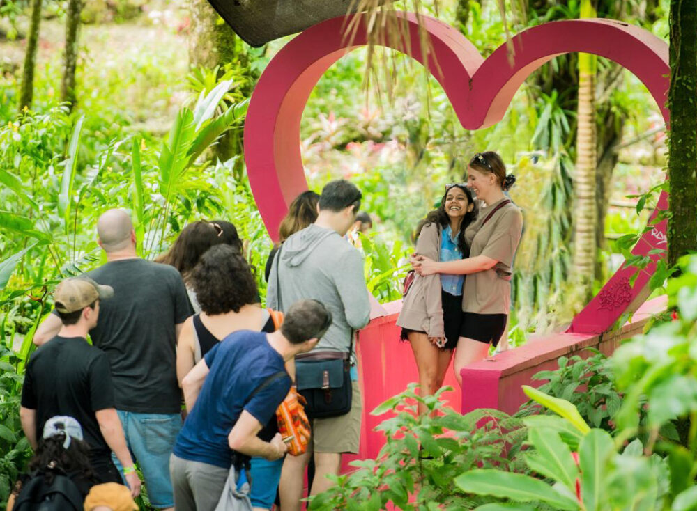 Careers – Beesy Strategy